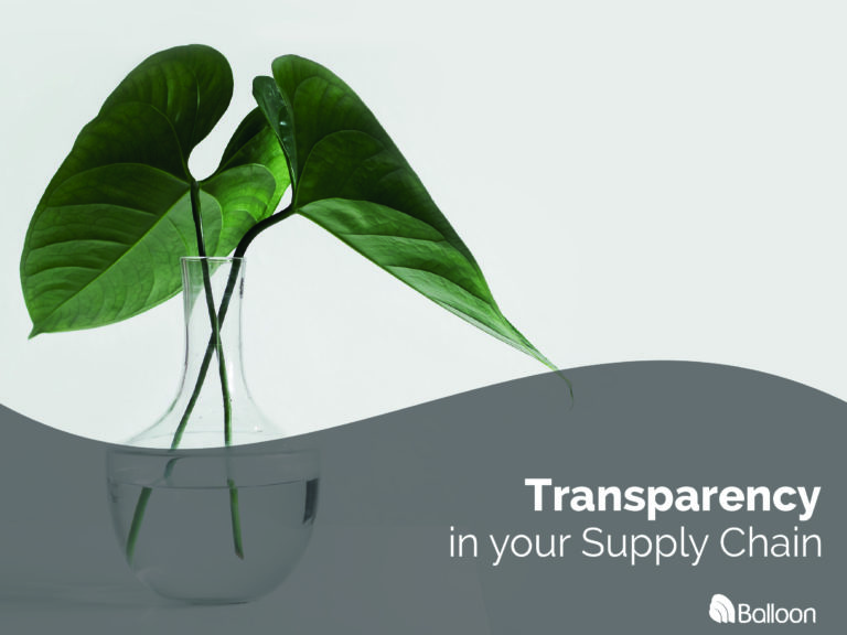 The Importance of a Transparent Supply Chain - Balloon One