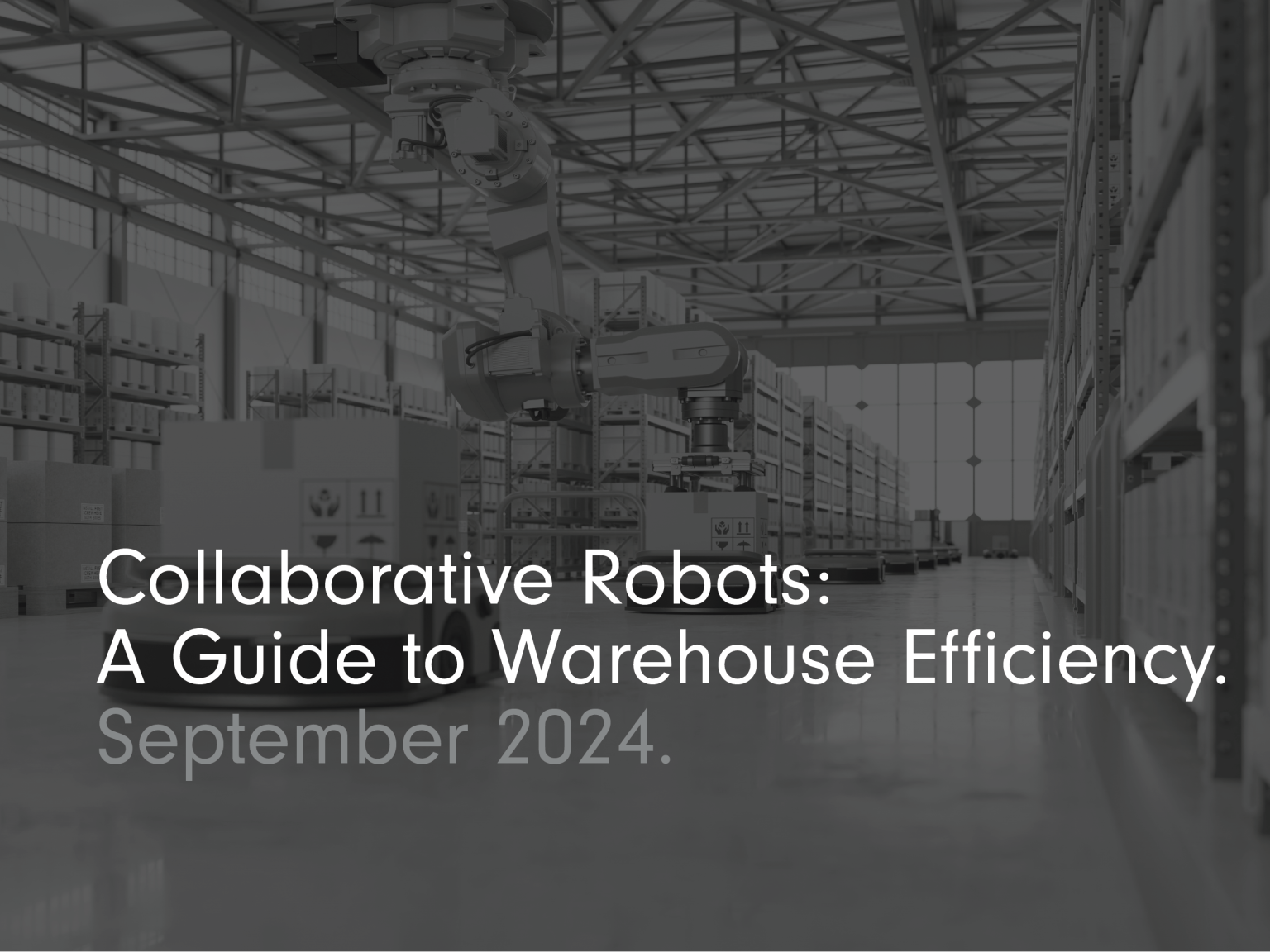 Collaborative Robots: A Guide to Warehouse Efficiency
