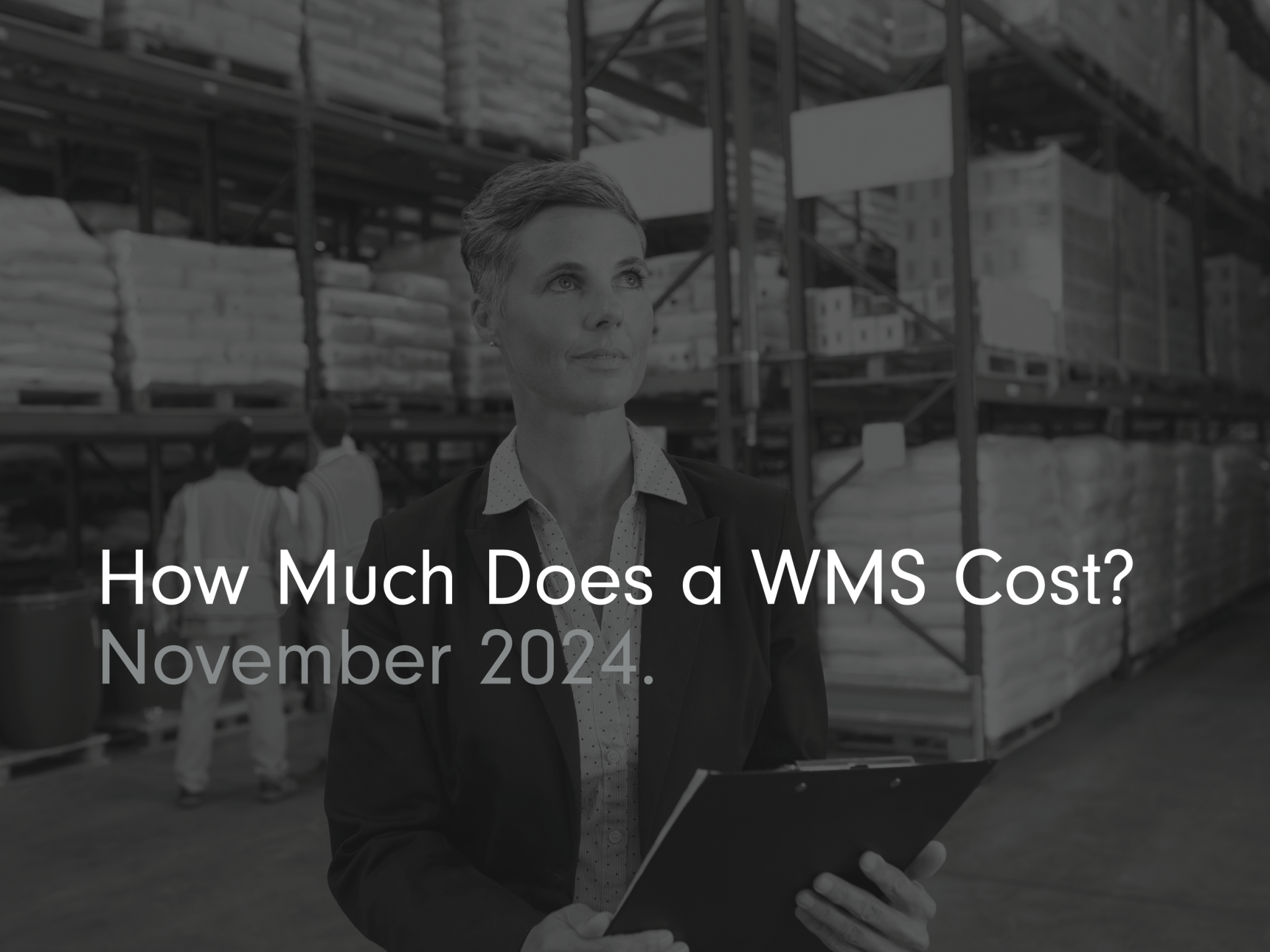 How Much Does a WMS Cost? | Balloon One