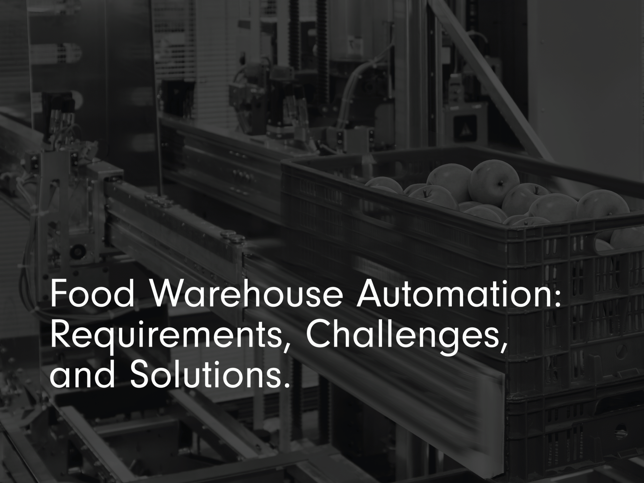 Food Warehouse Automation: Requirements, Challenges, and Solutions